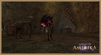 Information | L2Amerika